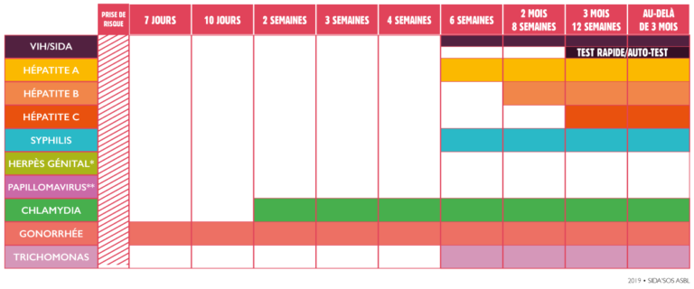 IST – Go To Gyneco